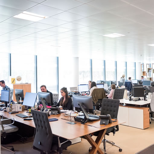 Digital Transformation Consulting & Fractional CTO Services | OPTI Software